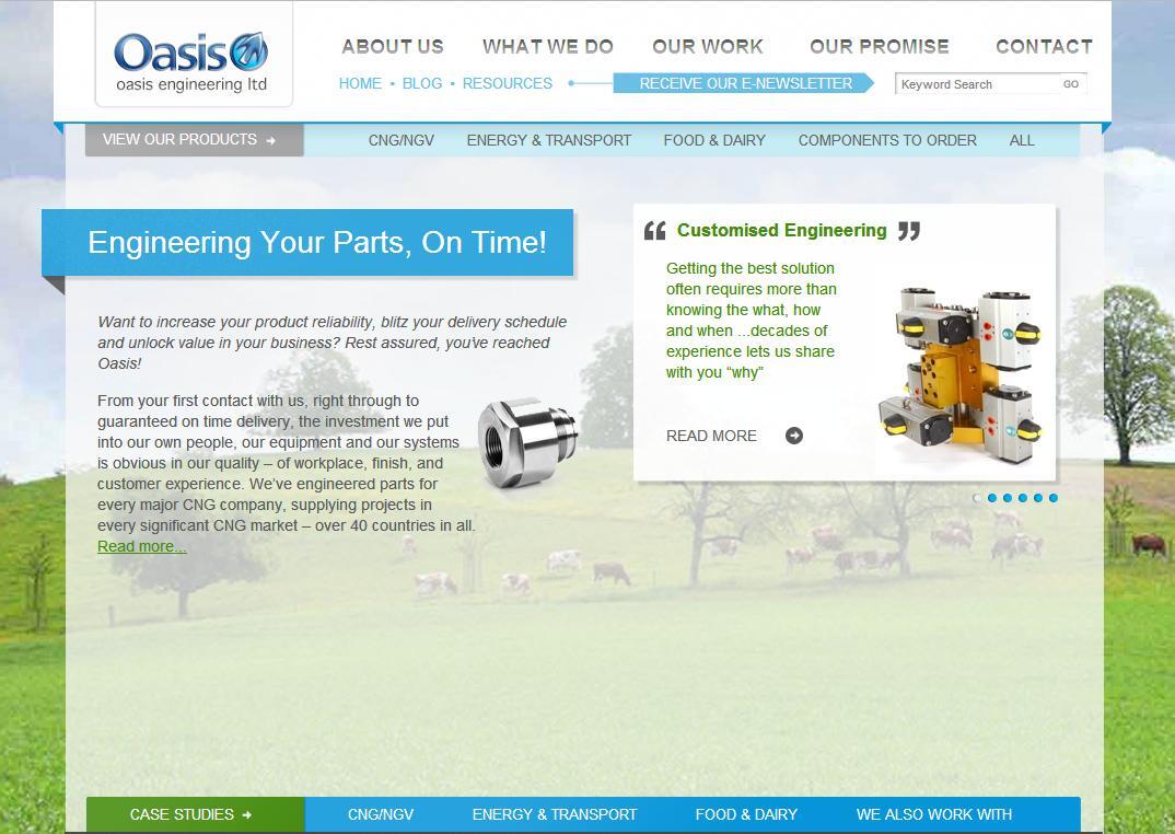 Oasis Engineering New Website!
